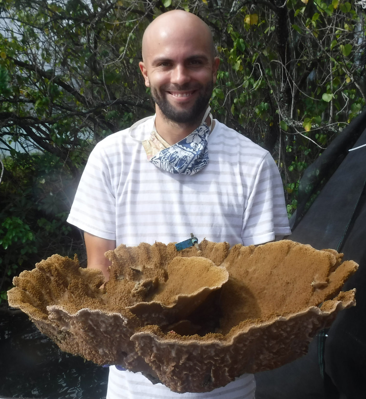 Chris Suchocki – Toonen-Bowen Lab